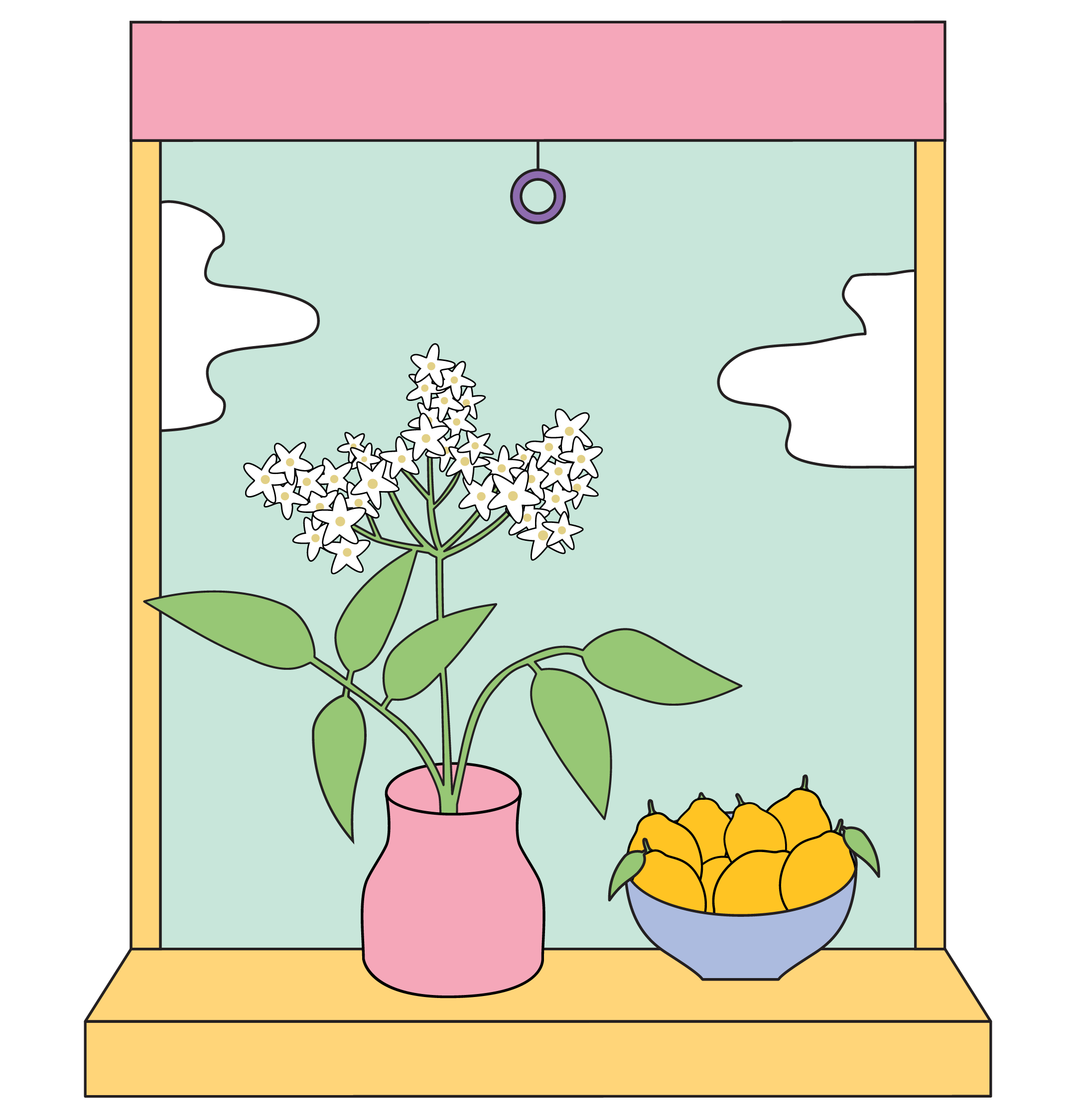 Sunday Elderflower | Sunday Cider | Craft Cider